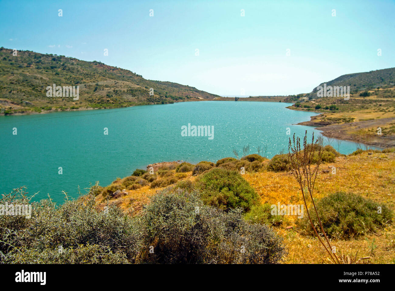 Cypurs wildlife hi-res stock photography and images - Alamy