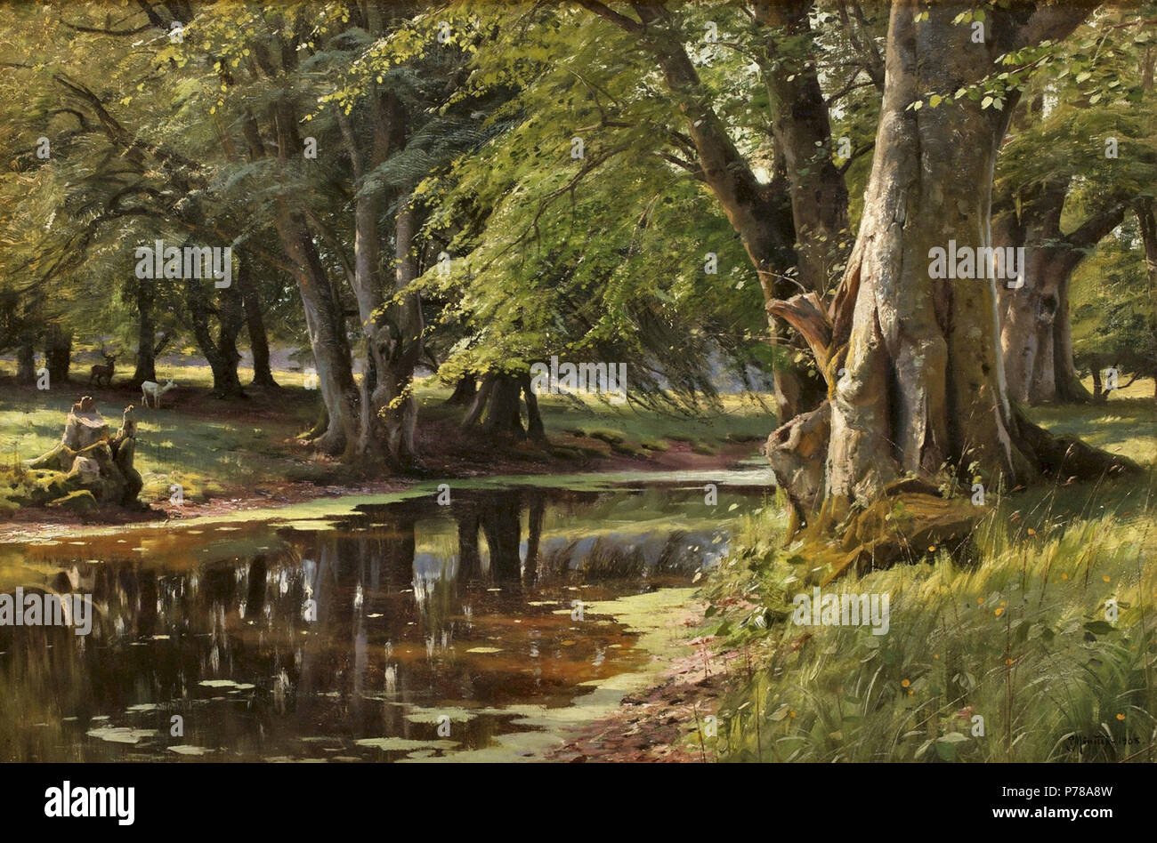 Monsted Peder Mork - Skogslandskap Stock Photo - Alamy