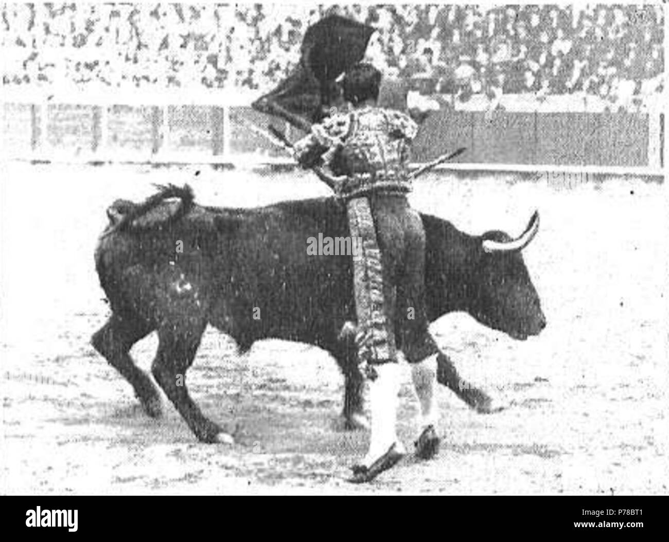 50 Pase de Malla Stock Photo - Alamy