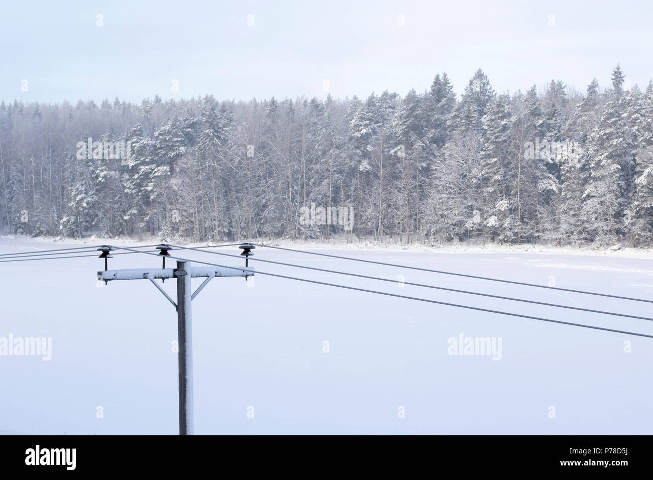 Frozen high voltage line Stock Photo - Alamy