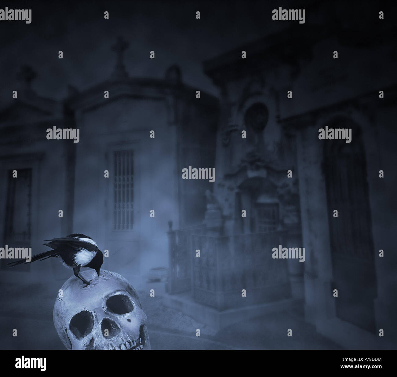 Flesh eating zombie hi-res stock photography and images - Alamy