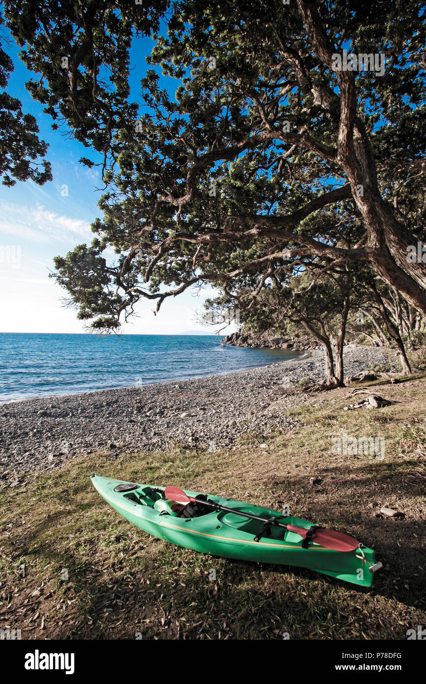 Sea kayak at Wilsons Bay on the Coromandel Peninsula, New Zealand Stock ...
