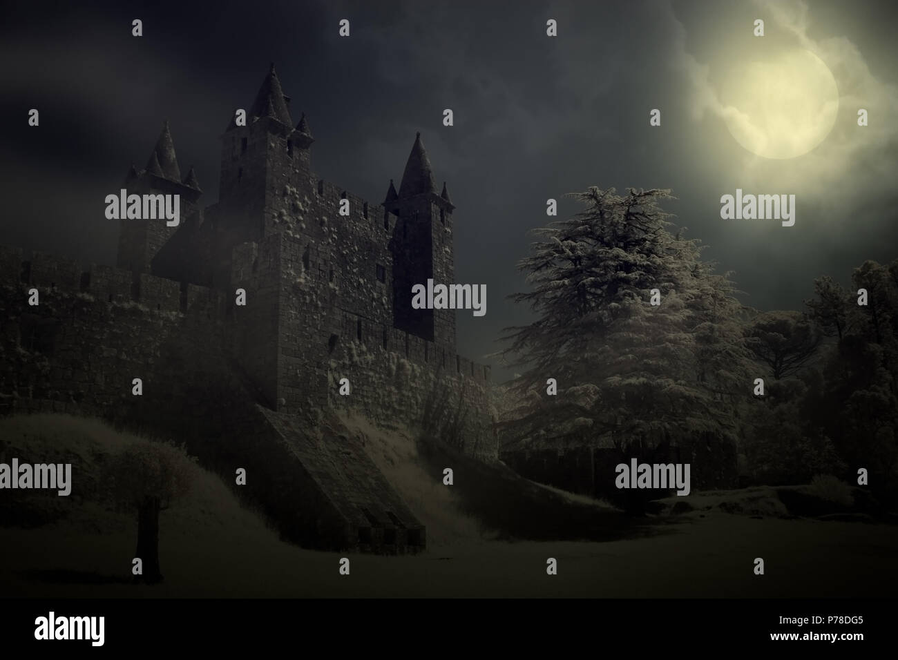 Mysterious medieval castle in a full moon night Stock Photo - Alamy