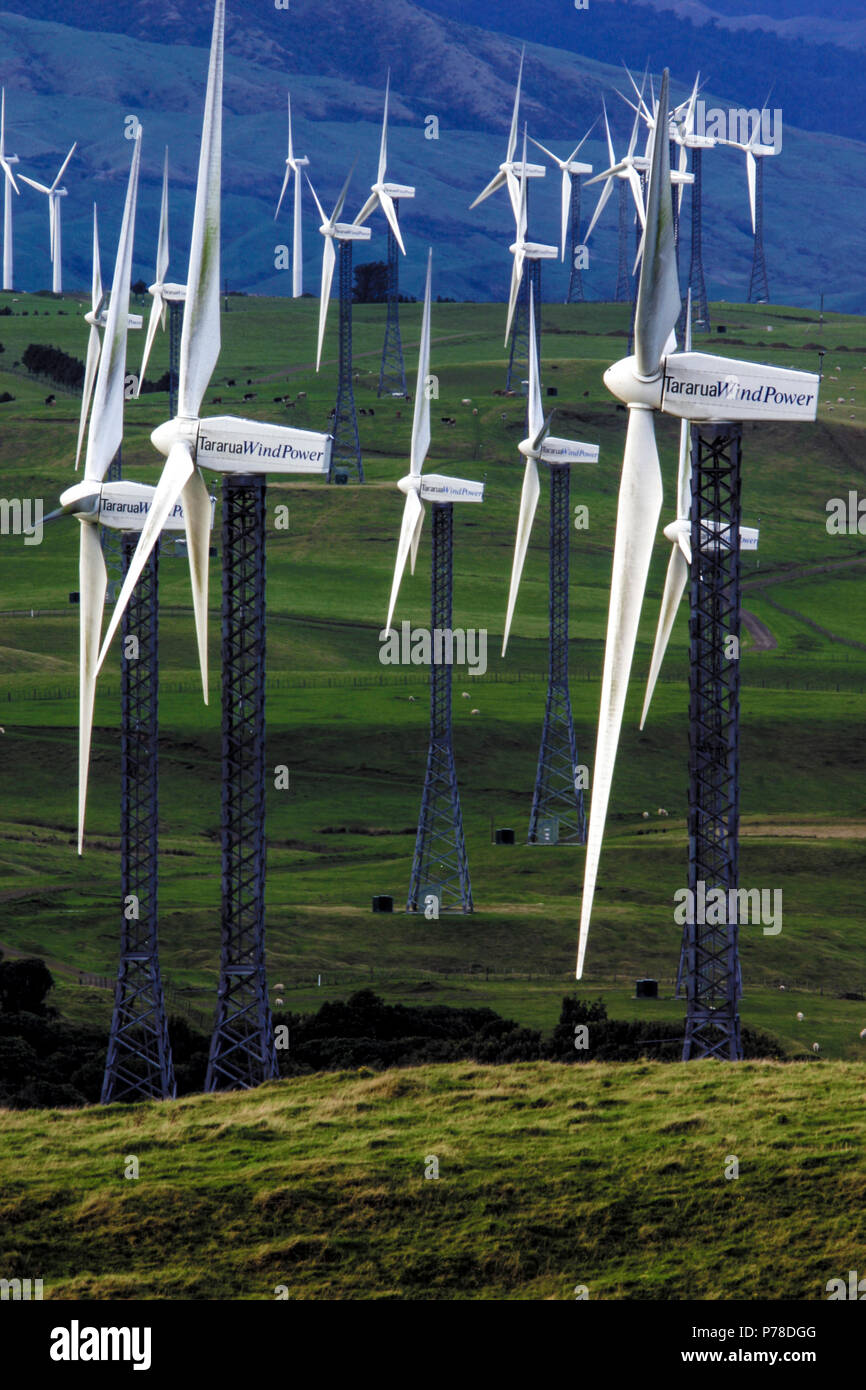 Wind turbines on exposed elevated farmland at Tararua Wind Farm in ...