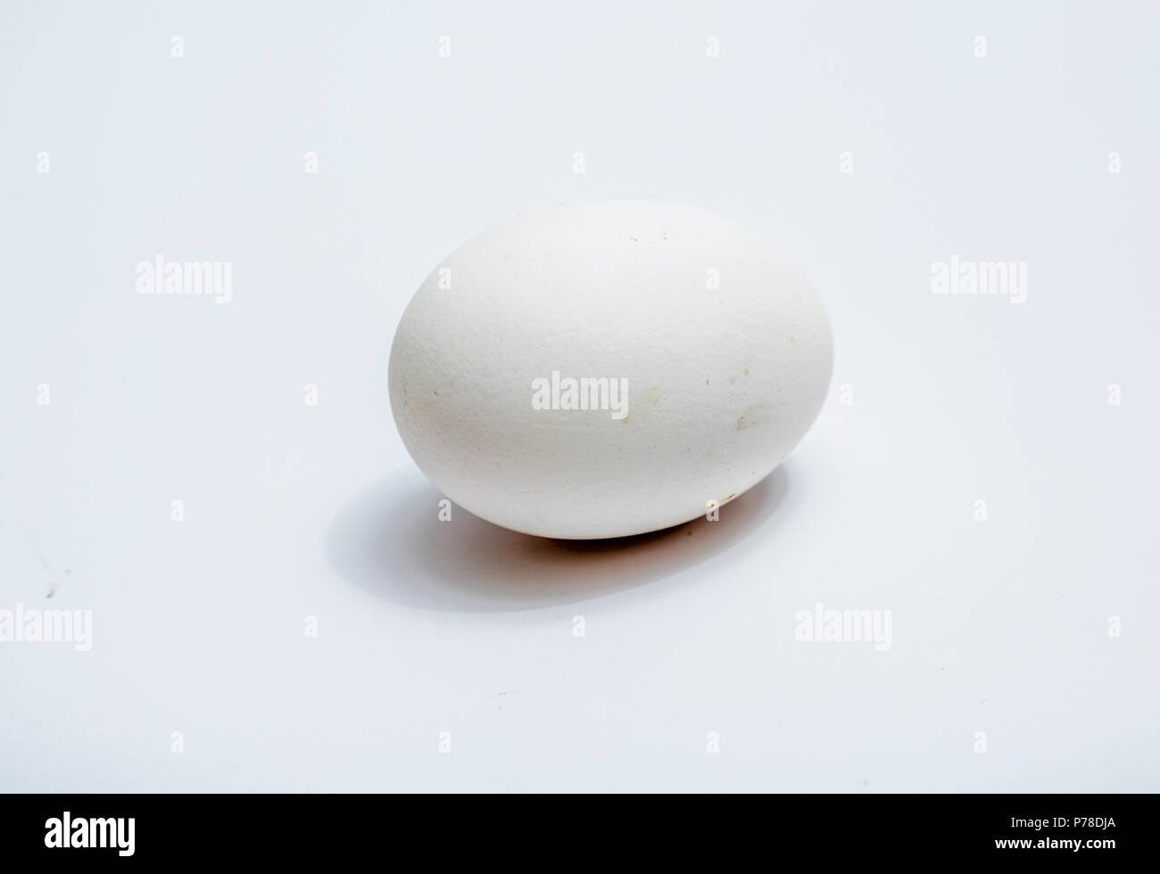 Egg in white background Stock Photo - Alamy