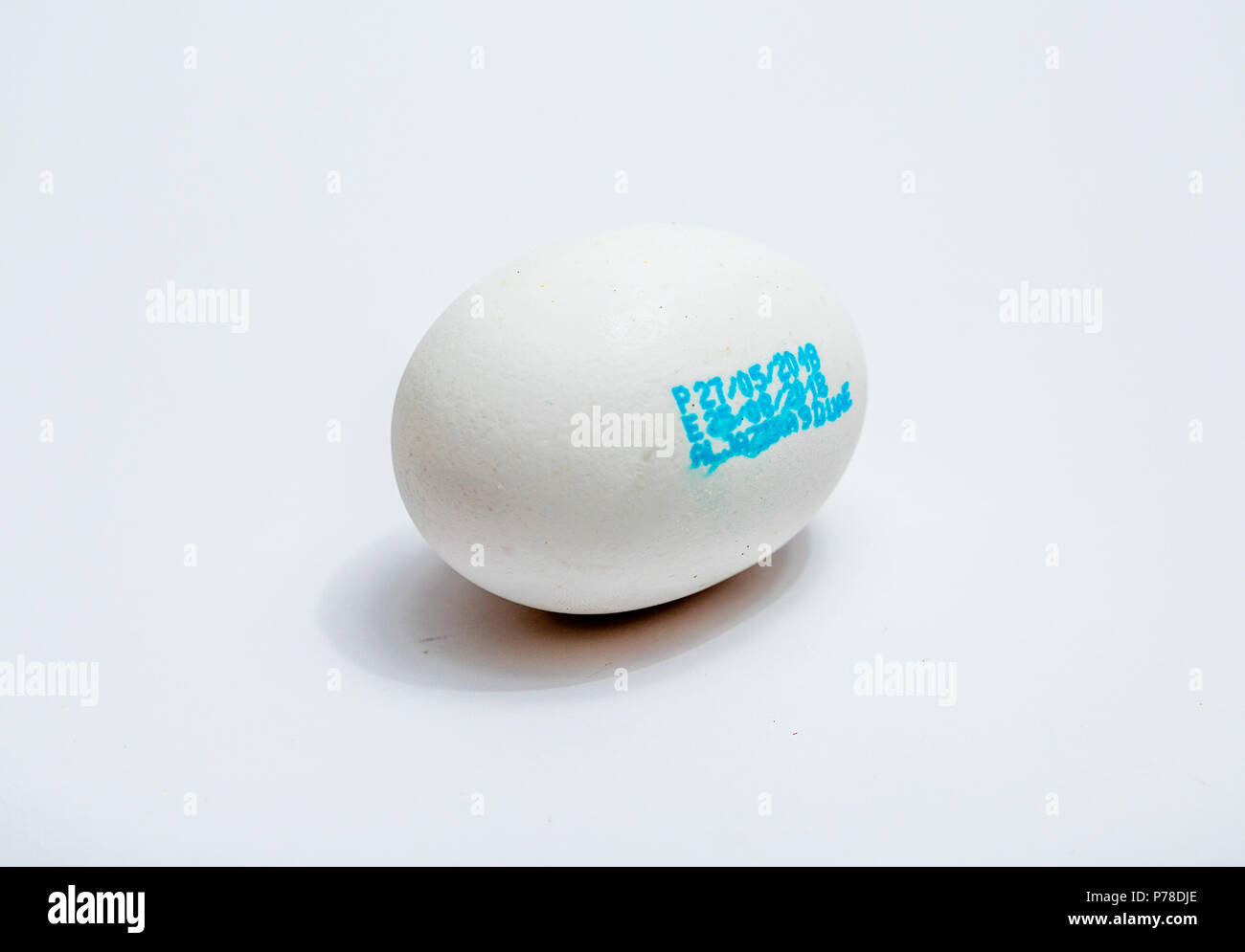 Egg in white background Stock Photo - Alamy