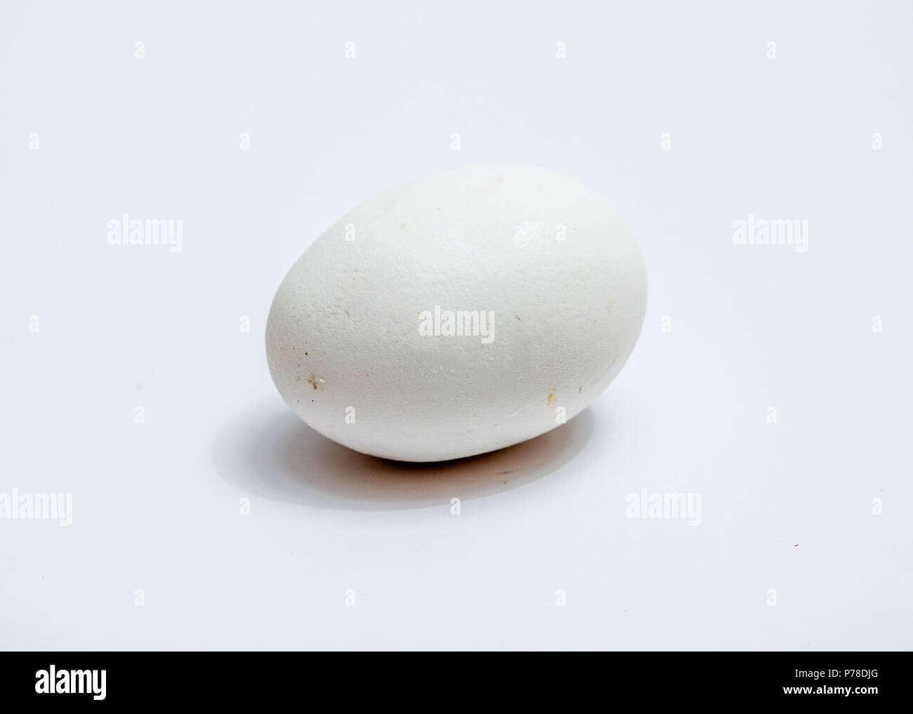 Egg in white background Stock Photo - Alamy