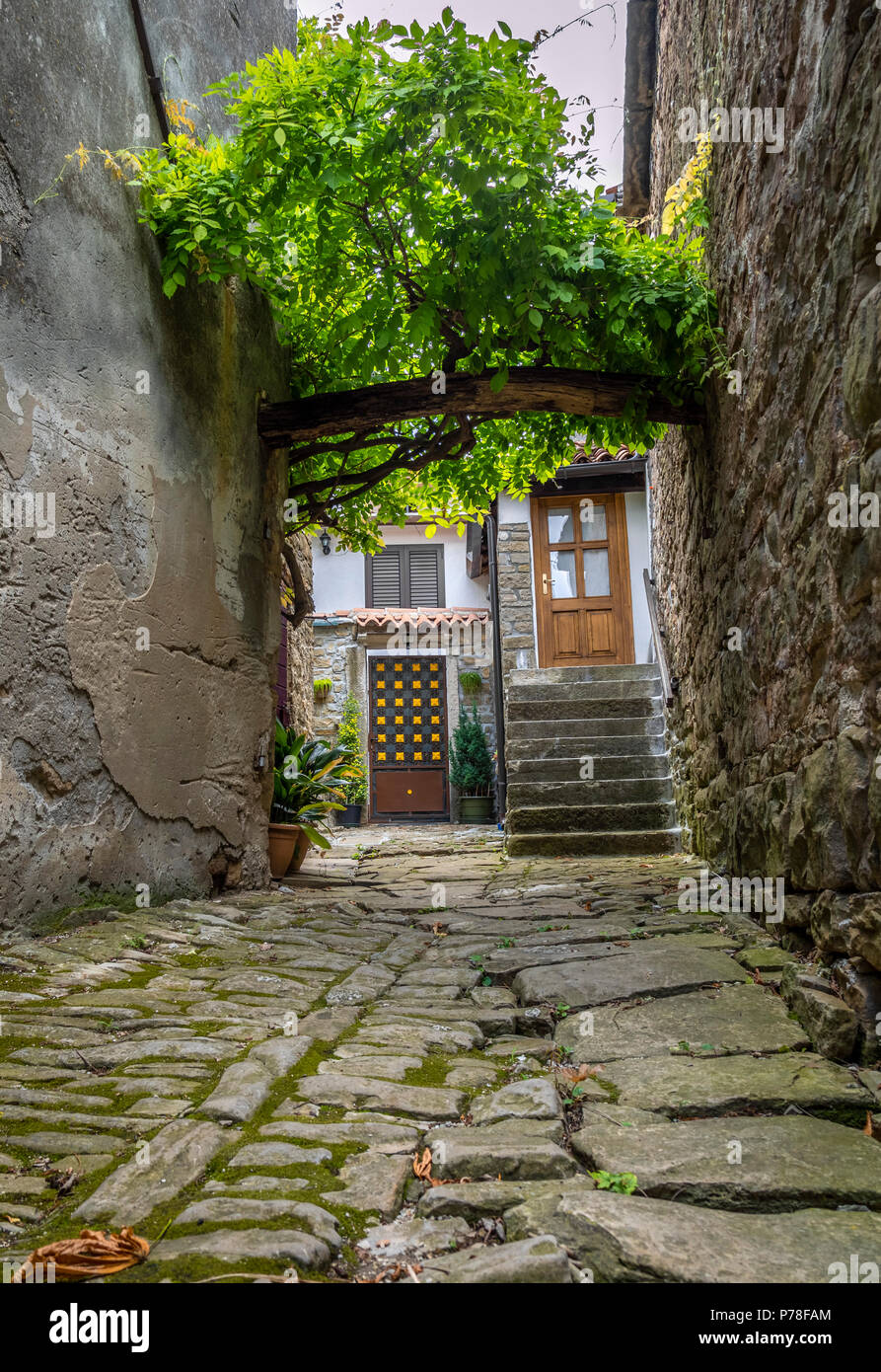Artist village and mountain village Groznjan, Istria, Croatia, Europe ...