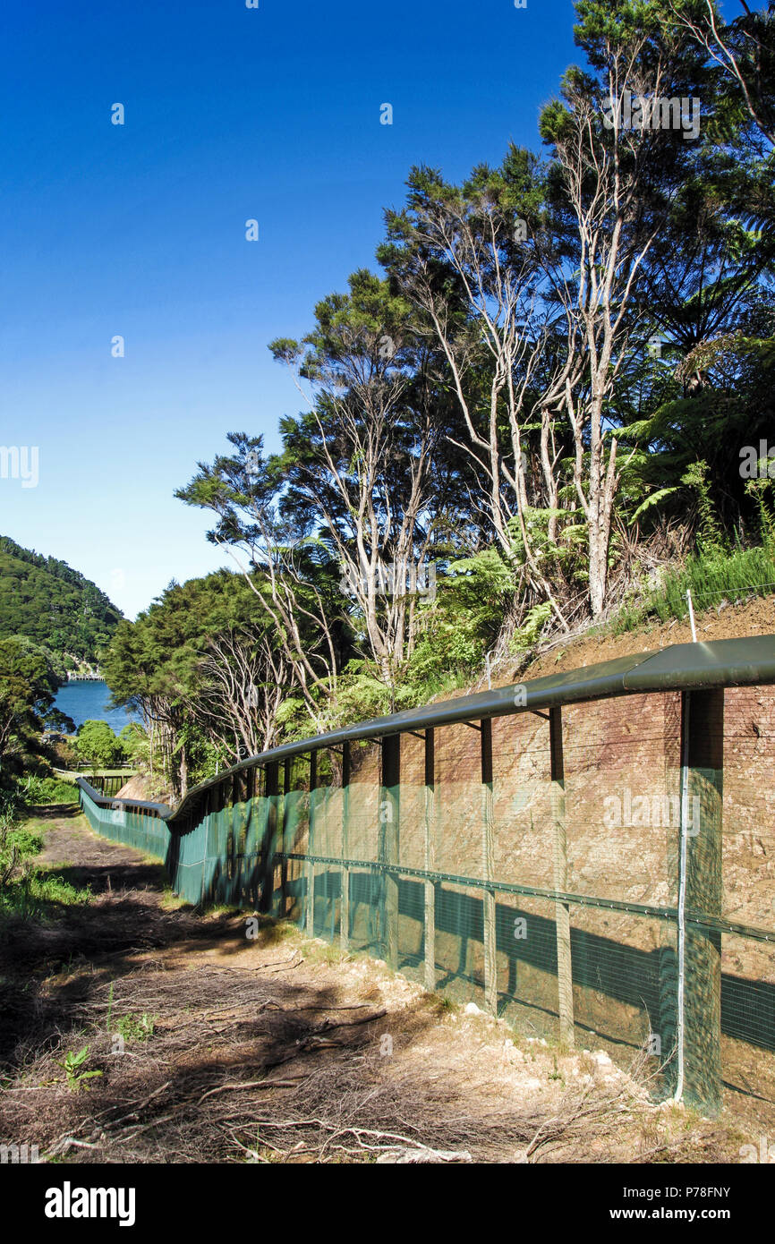 Pest proof fence of Glenfern Sanctuary on Great Barrier Island ...