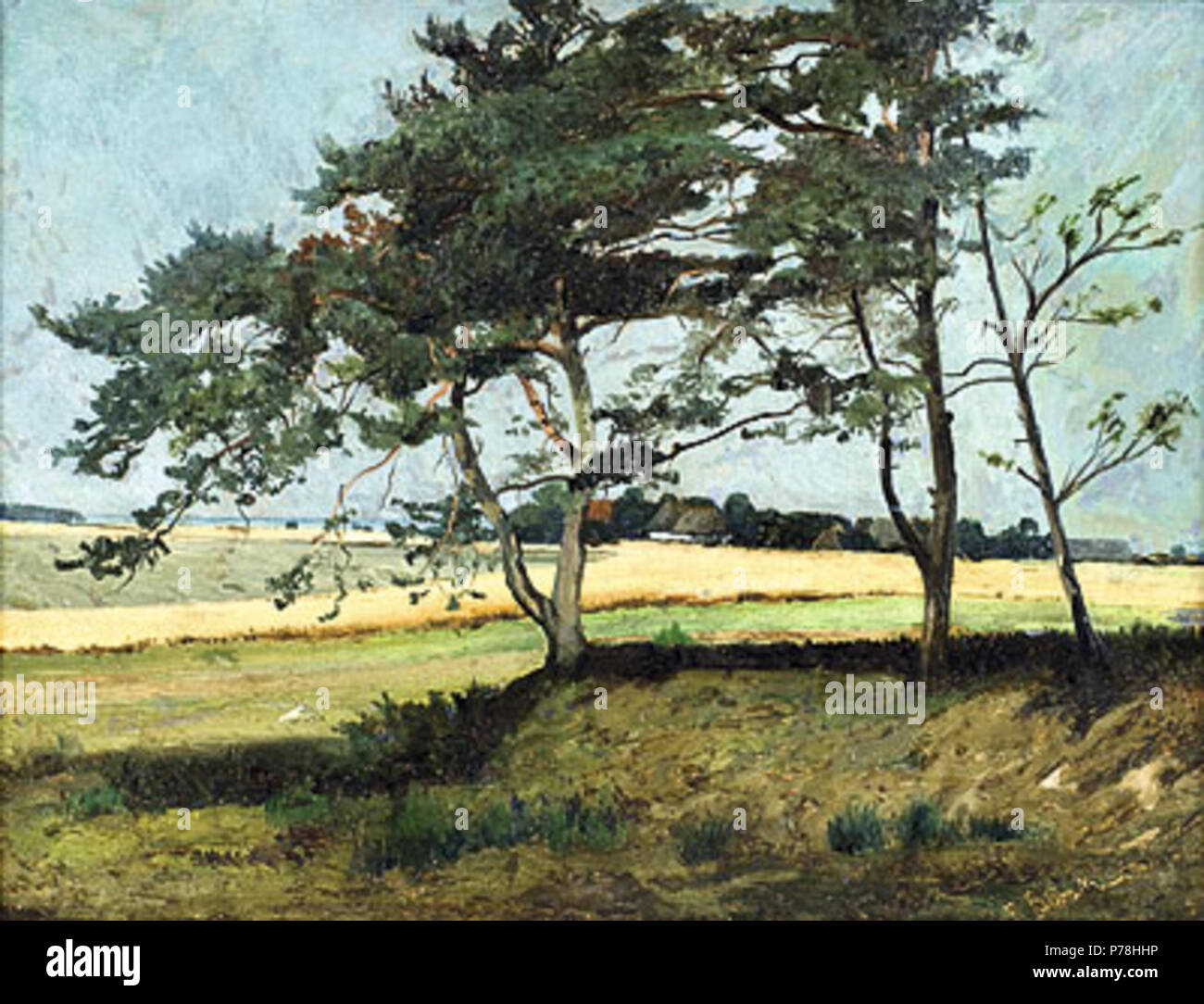 Mittagssonne hi-res stock photography and images - Alamy