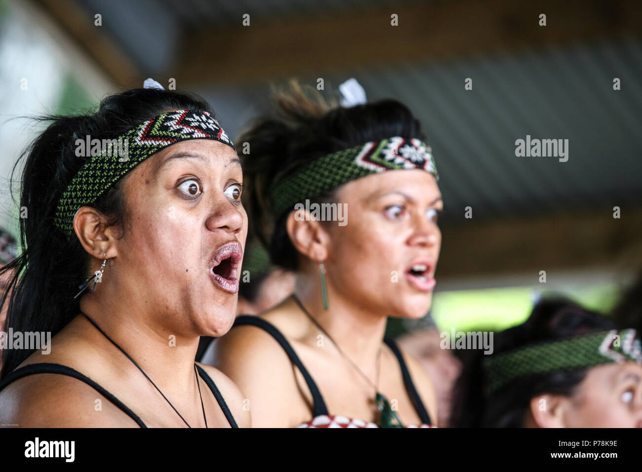 New zealand indigenous people cultural dance hi-res stock photography ...