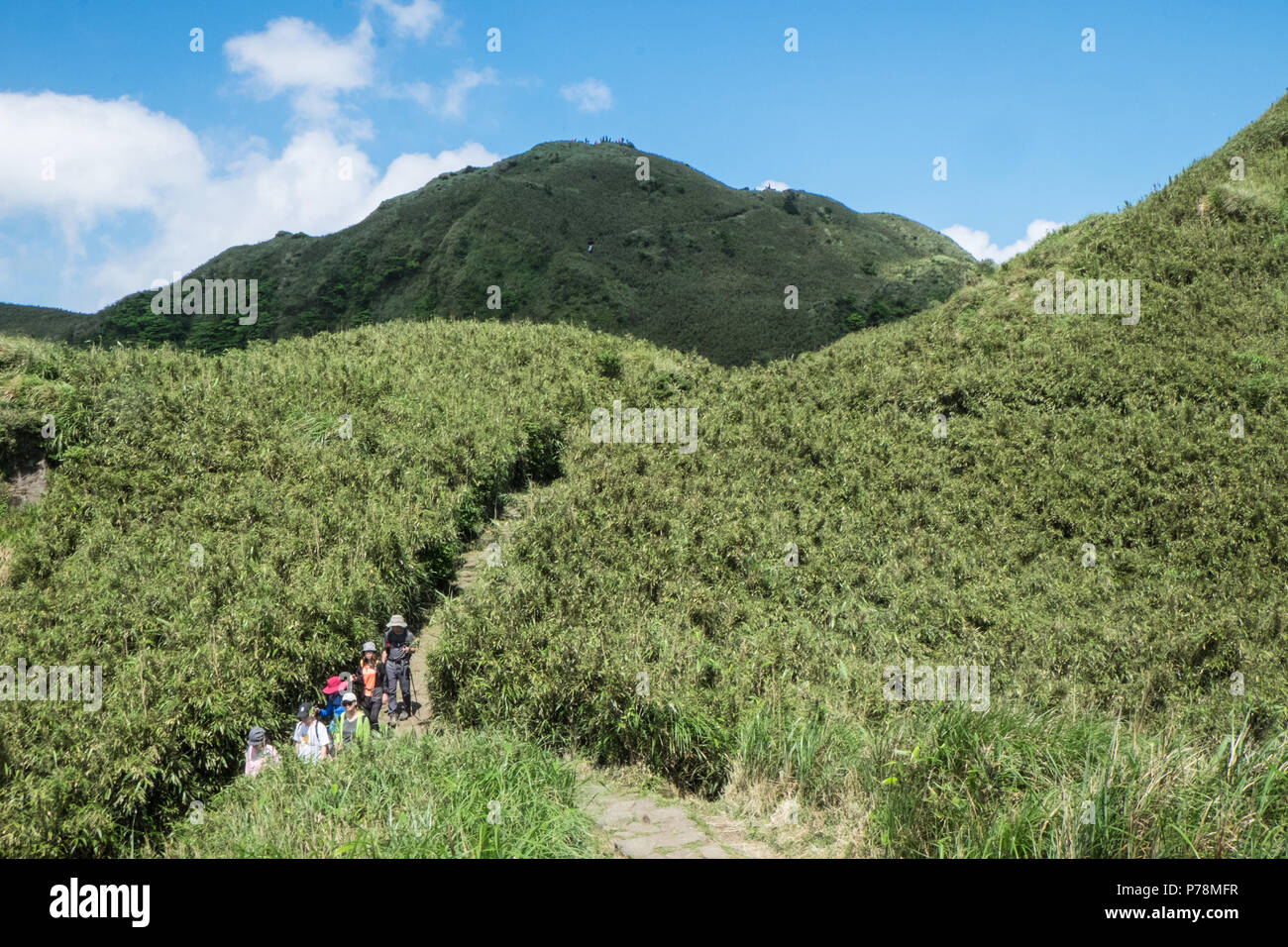Hiking,hike,Qixing,Mountain,Yangmingshan,National,Park,Taipei,Taiwan ...