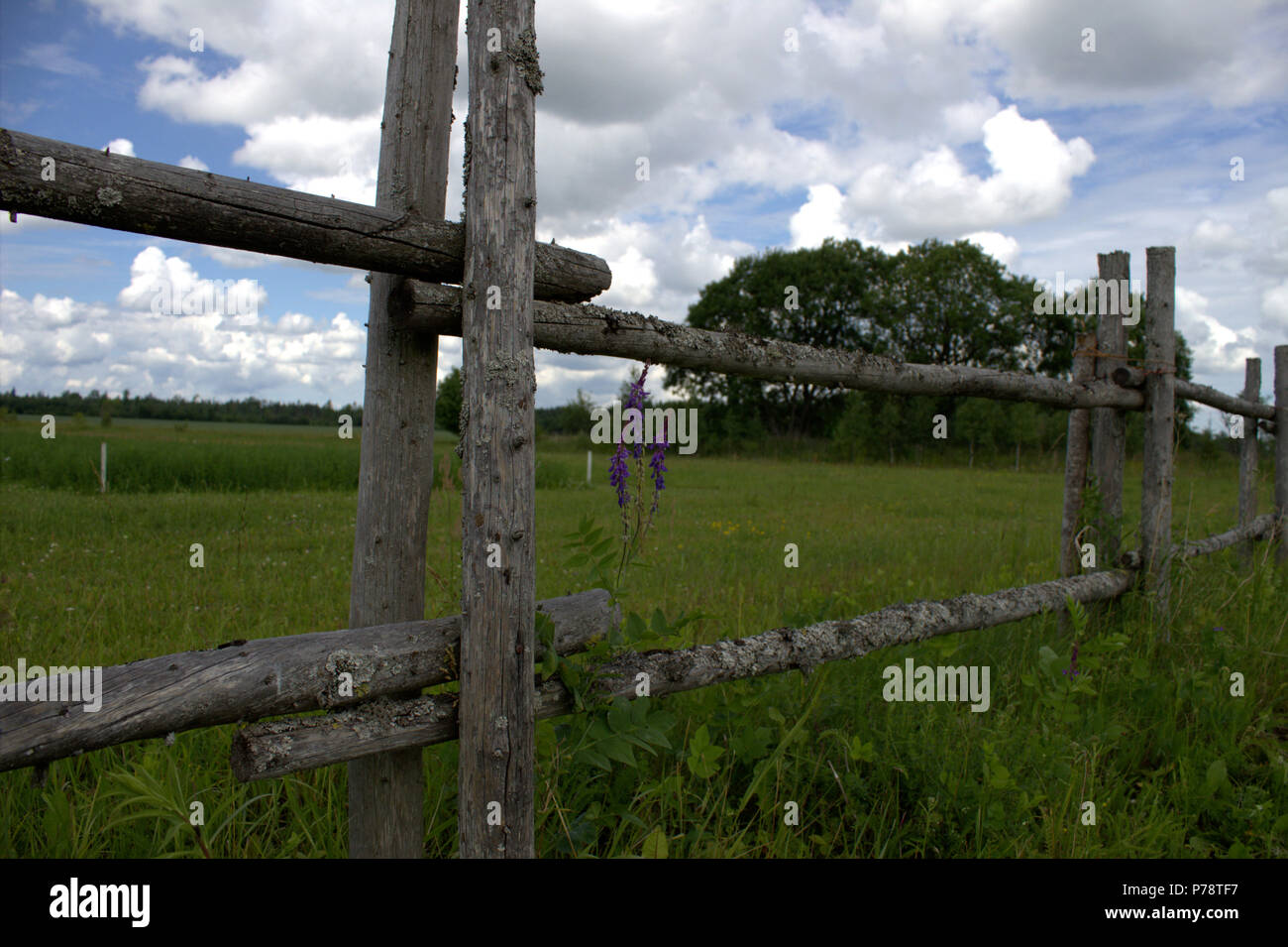 Old fashioned country view Stock Photo - Alamy
