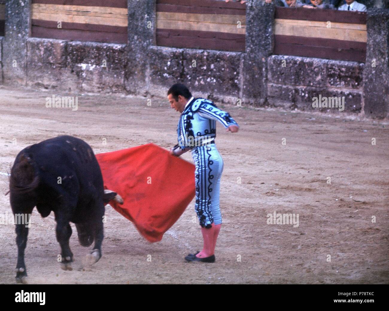 Toros en ronda hi-res stock photography and images - Alamy