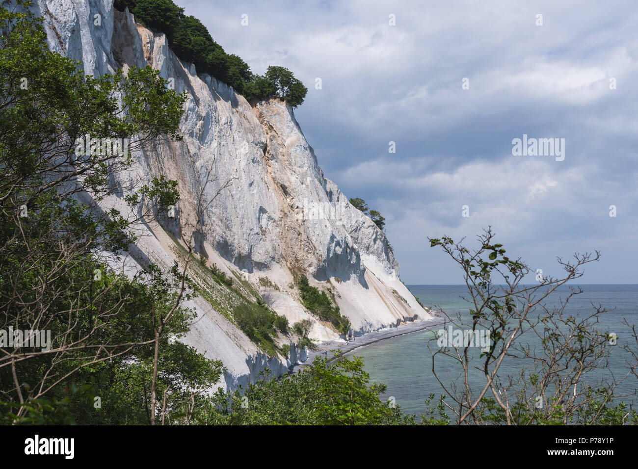 Moen Klint at summer - Denmark Stock Photo - Alamy