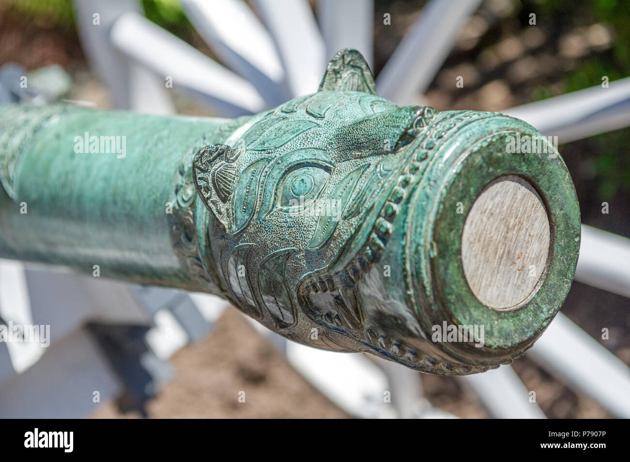 Tipu bronze cannon in the shape of a tiger at Powis Castle, Wales Stock ...