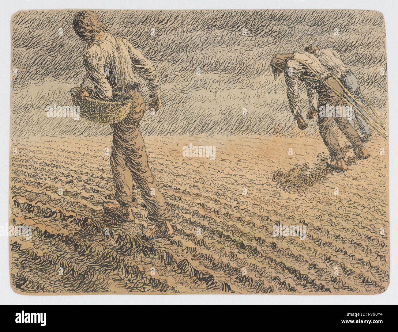 Field portrayal hi-res stock photography and images - Alamy