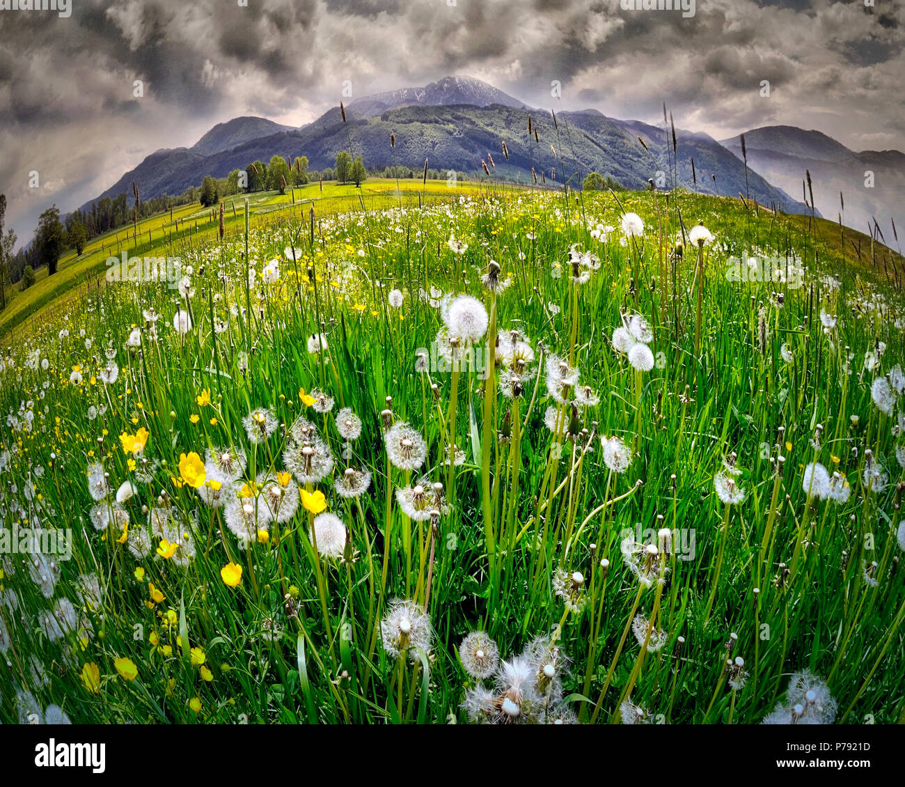 Bavaria landscape hi-res stock photography and images - Alamy