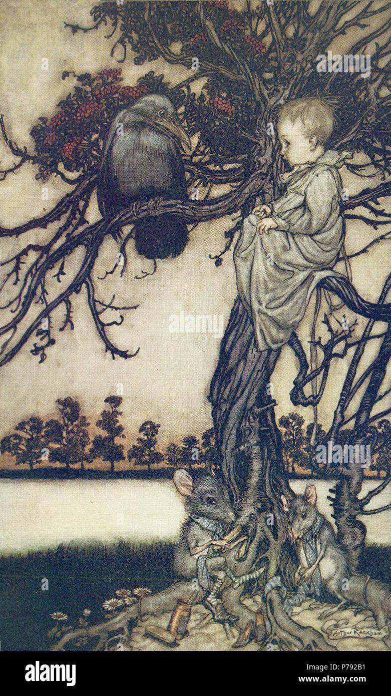 Peter Pan: Put his strange case before old Solomon Caw . 1906 46 Peter ...