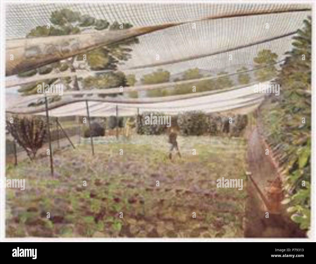 Work by Eric Ravilious . before 1942 49 Ravilious - strawberry-bed-by ...