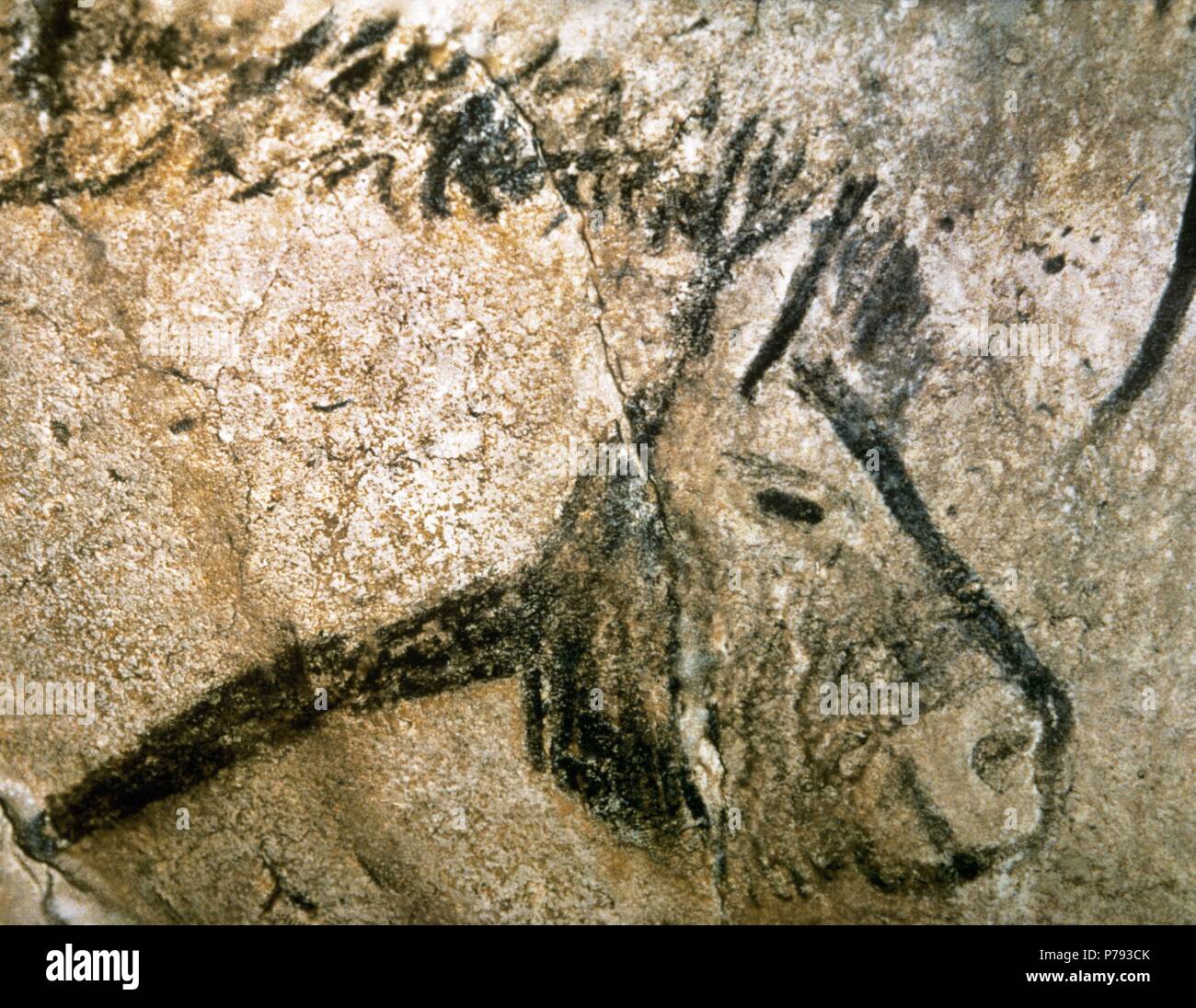 Paleolithic cave france hi-res stock photography and images - Alamy