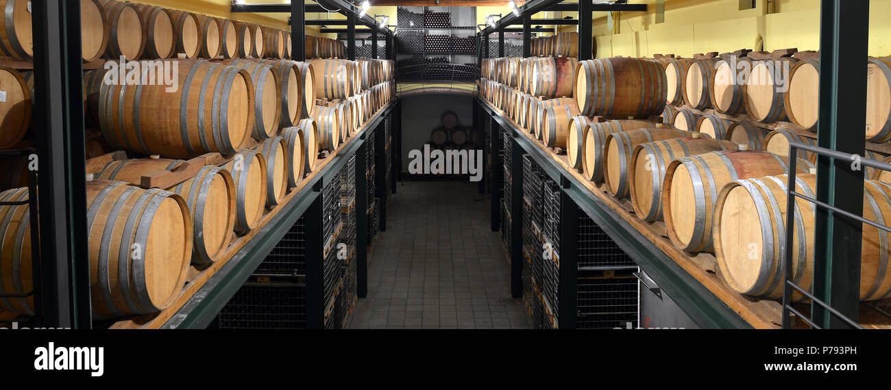 Casks in wine cellar and bottle at the winery Stock Photo - Alamy