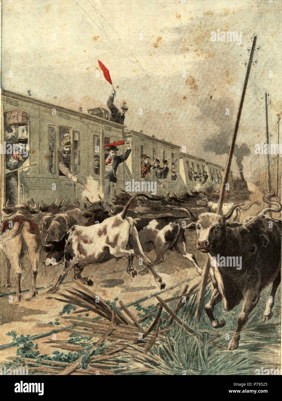Tren de pasajeros español atacado por una manada de toros bravos en la ...