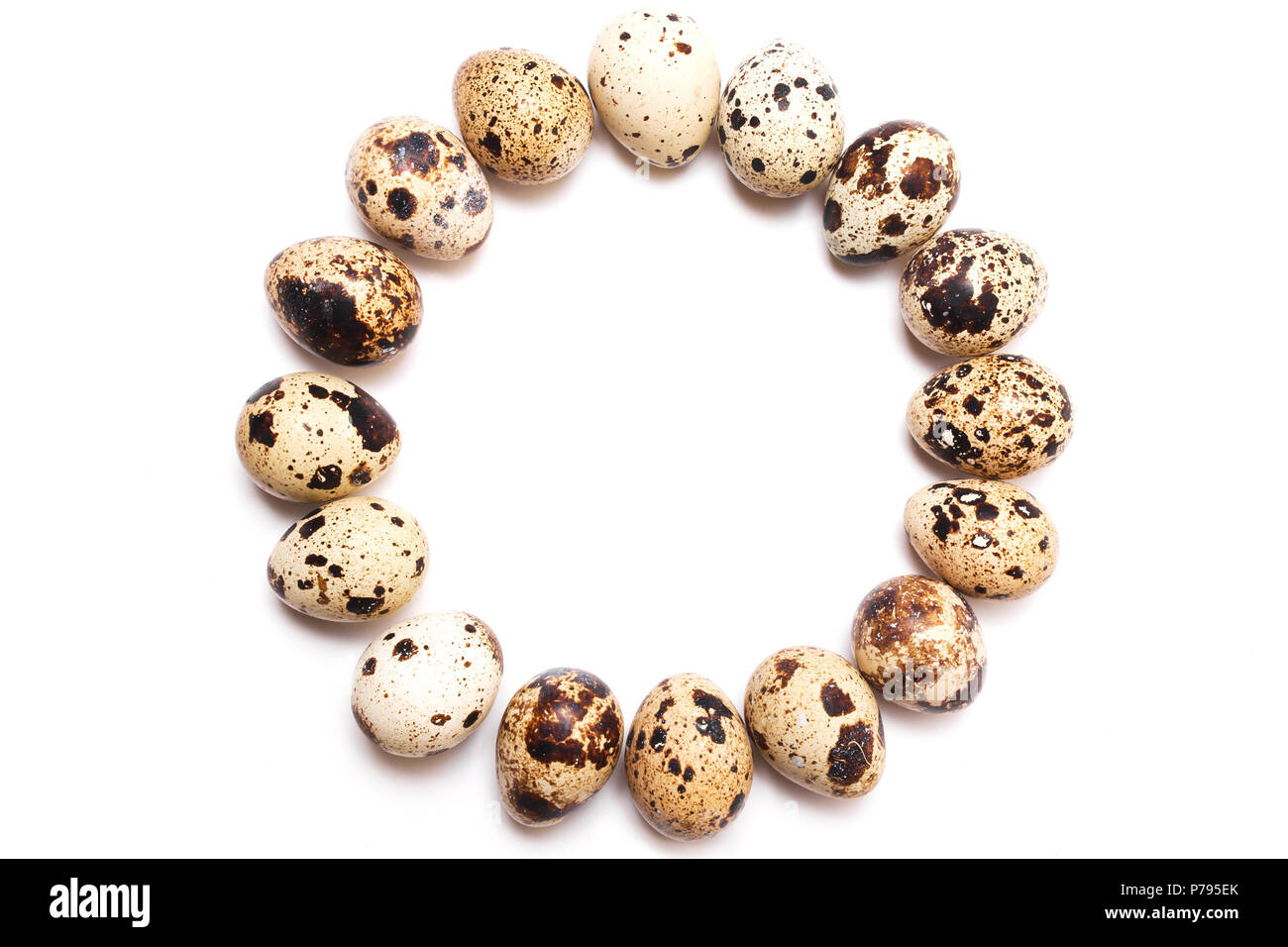 A round frame of quail eggs in a row on a white background. View from ...