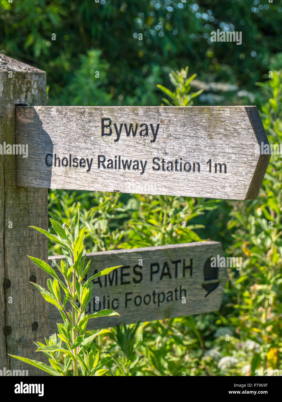 Thames path footpath hi-res stock photography and images - Alamy