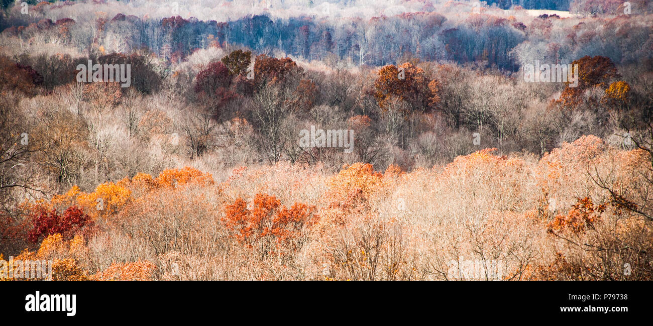 Late Autumn, Fall Leaves, Brown County, Indiana Stock Photo - Alamy