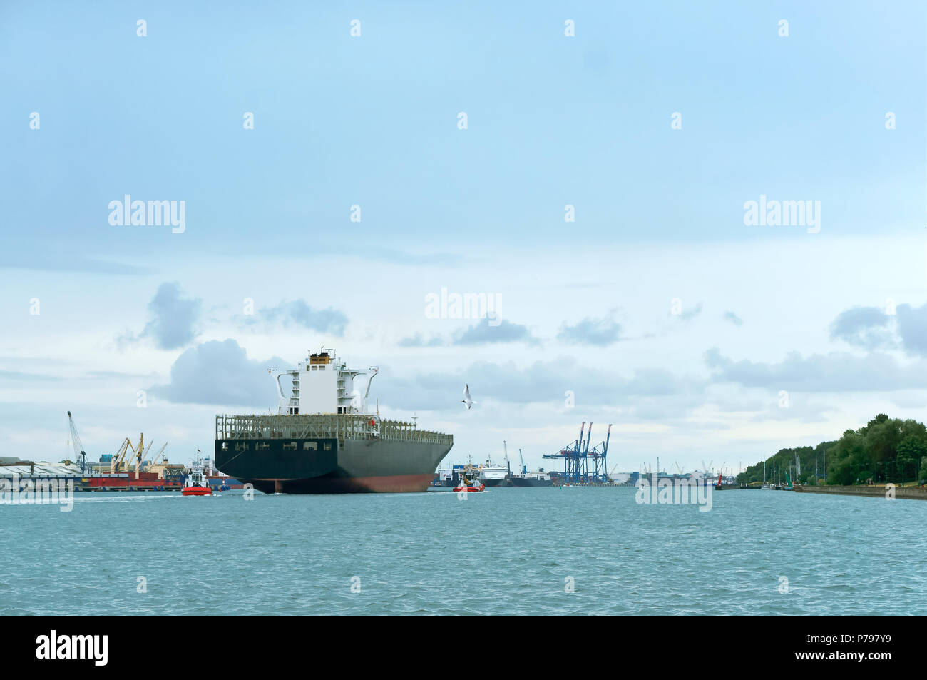 huge empty container ship, blue cargo ship on water Stock Photo - Alamy