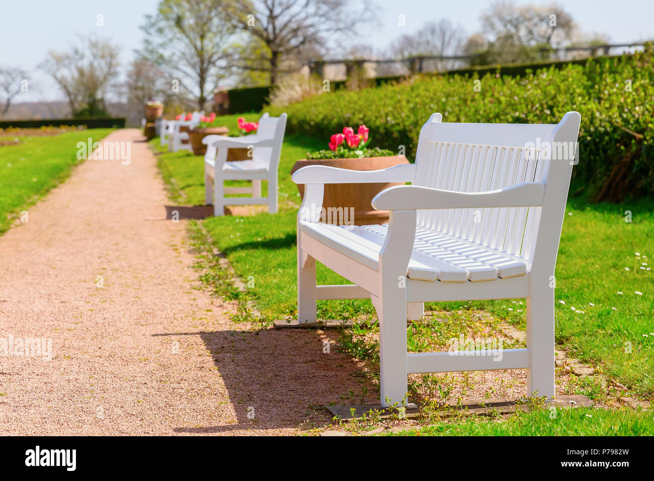 picture of park benches along a footpath in early spring Stock Photo ...