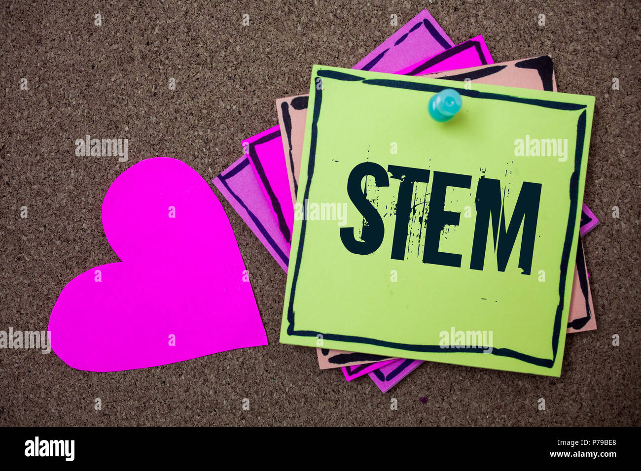 Conceptual hand writing showing Stem. Business photo showcasing ...