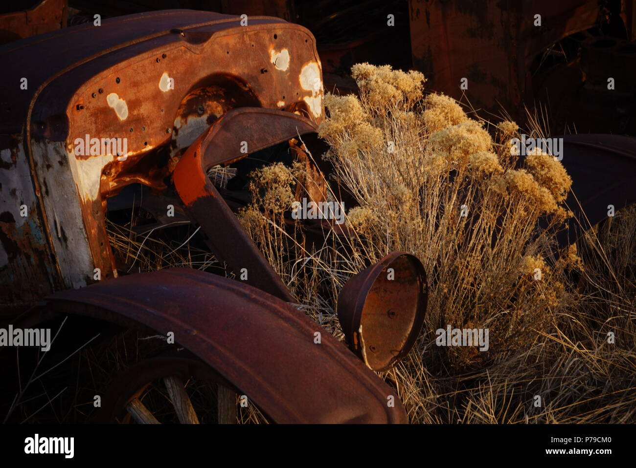 Forgotten things hi-res stock photography and images - Alamy