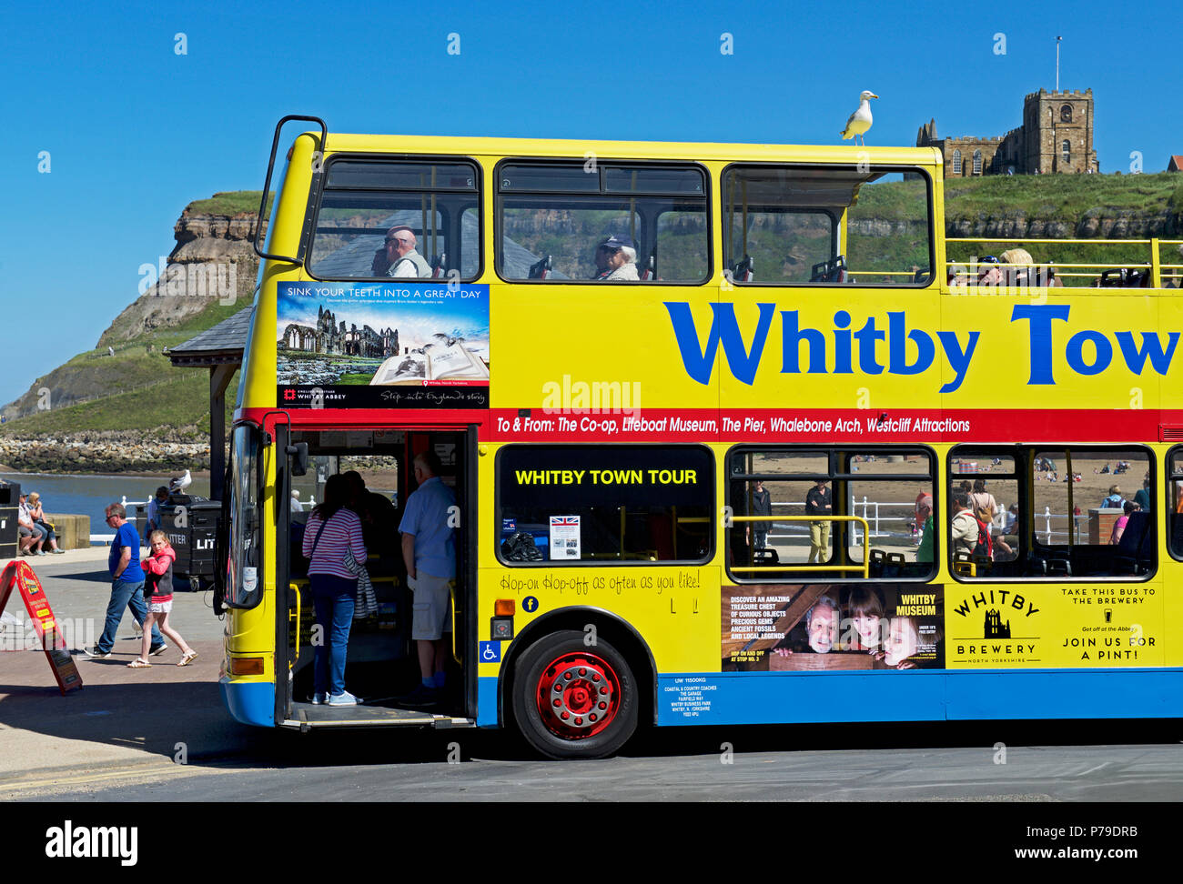 Tourist tour bus, Whitby, North Yorkshire, England UK Stock Photo - Alamy