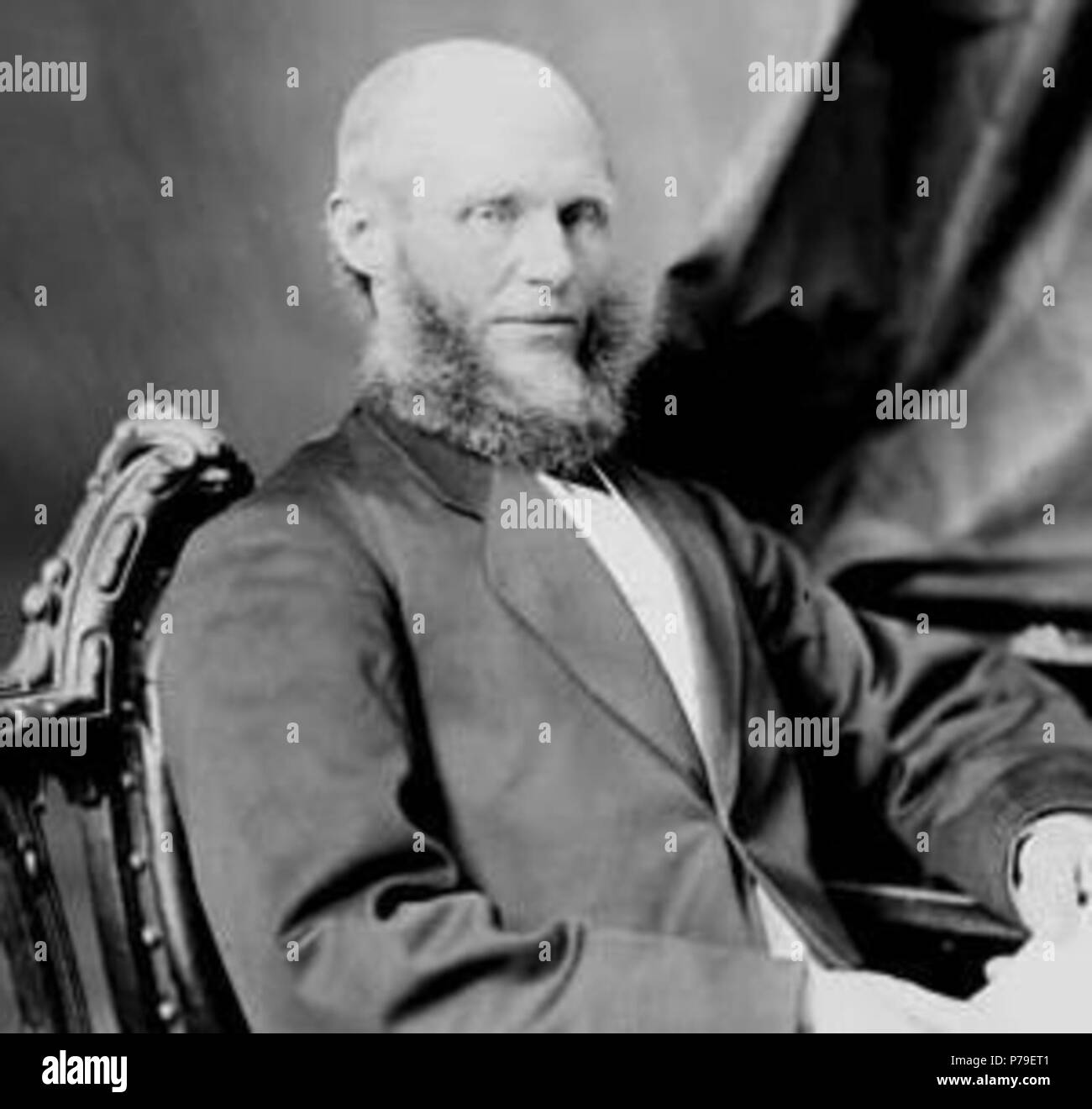 Gavin Fleming, M.P., (Brant N., Ont.) . May 1873 9 GavinFleming23 Stock ...