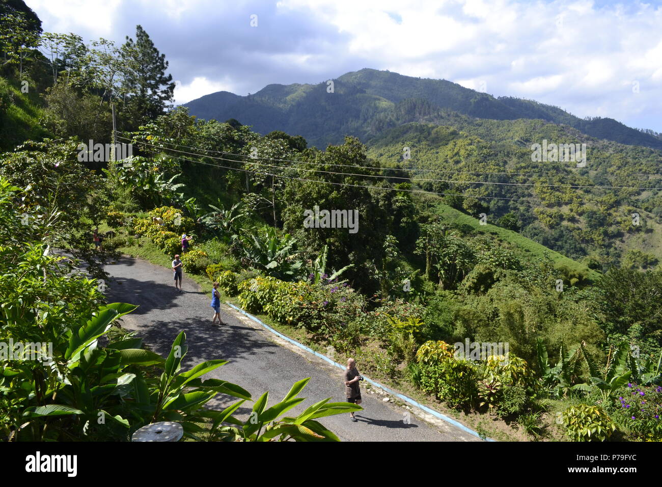 Jamaica hi-res stock photography and images - Alamy