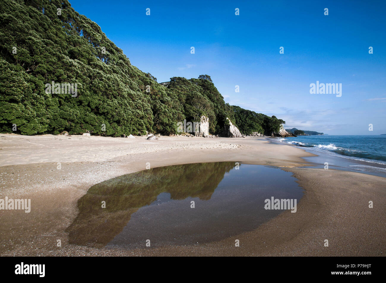 Whangamata surf hi-res stock photography and images - Alamy