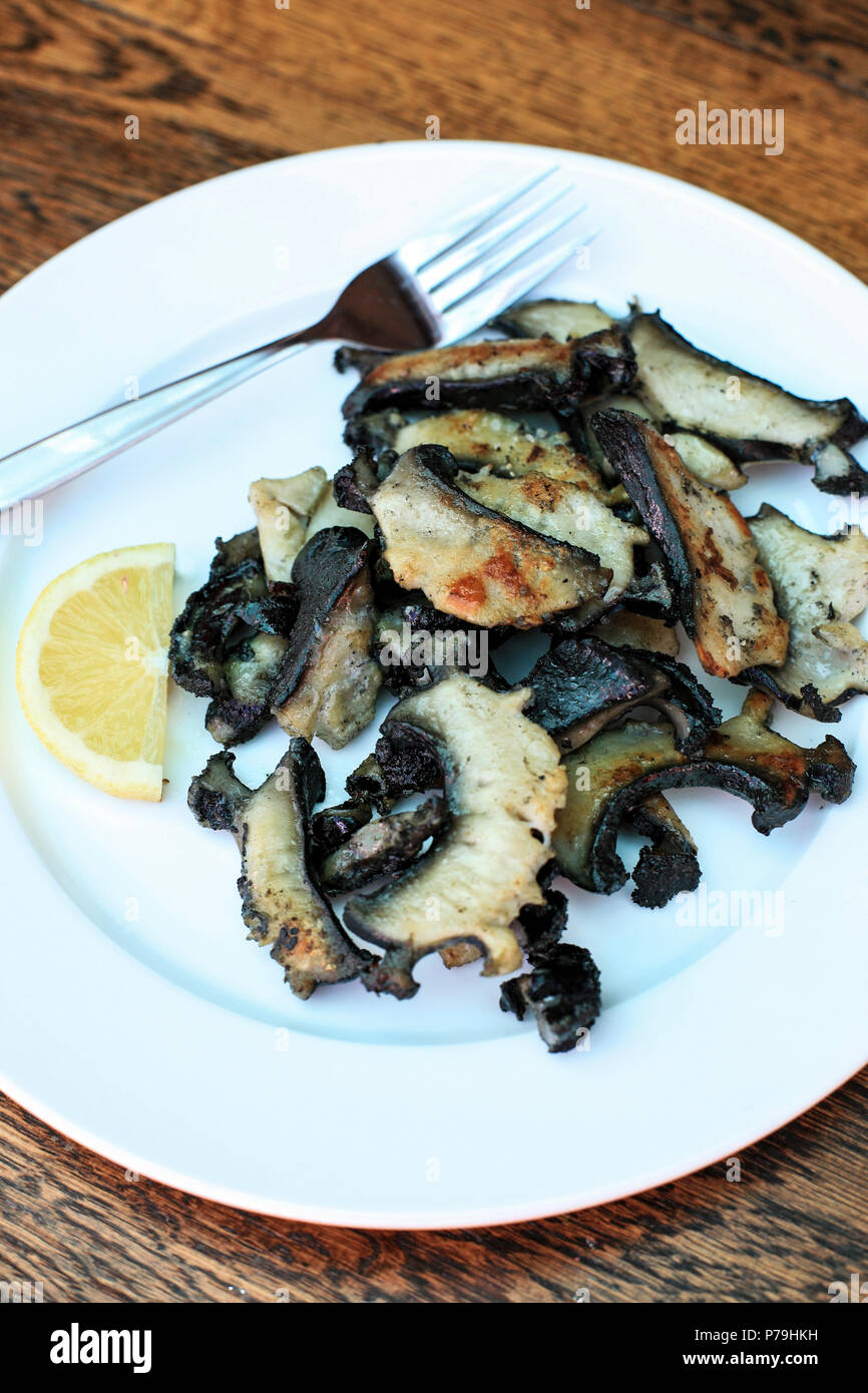 Paua abalone hi-res stock photography and images - Alamy