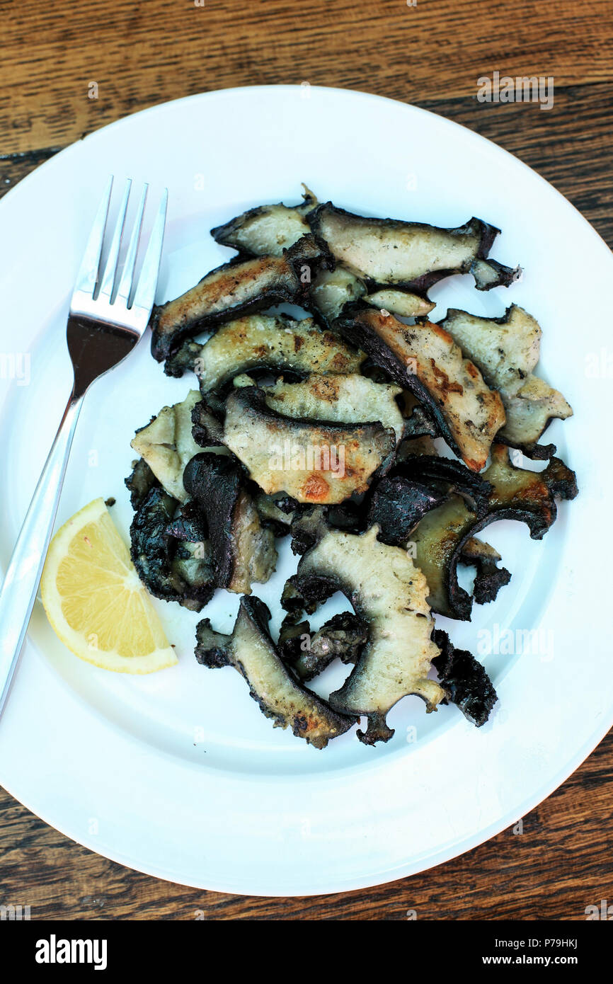 Abalone edible delicacy hi-res stock photography and images - Alamy