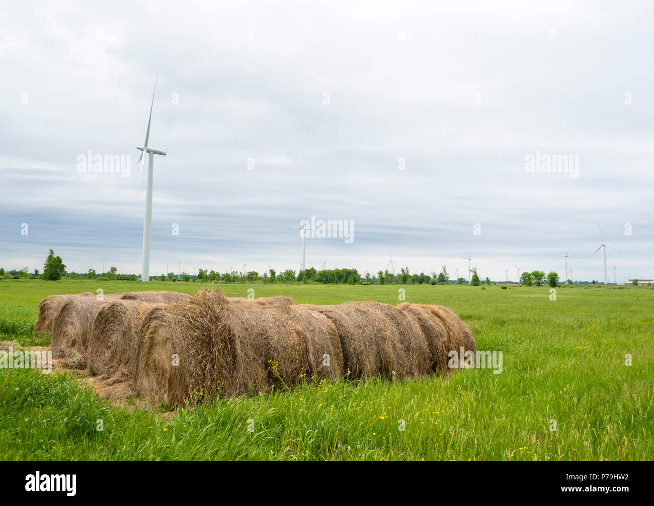 Landscape view of a wind turbine in the farming fields Stock Photo - Alamy