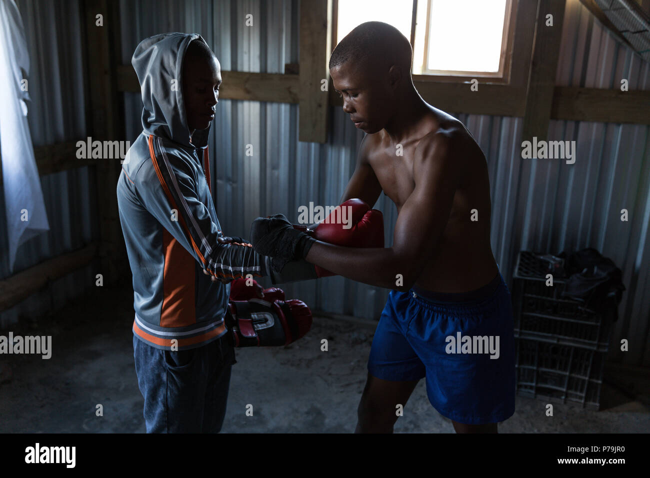 Trainer assisting male boxer in wearing boxing gloves Stock Photo - Alamy