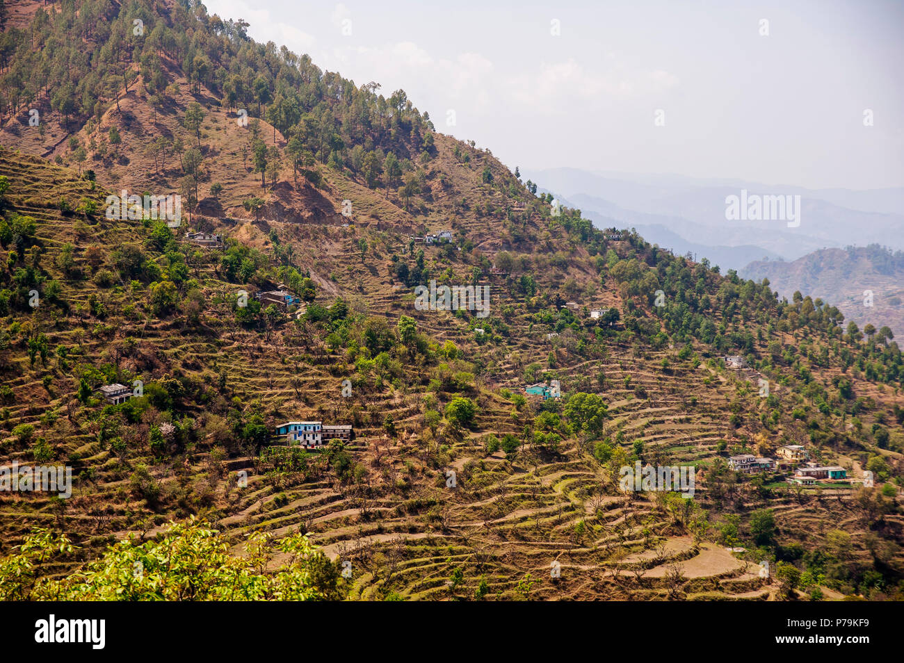 Terraced fields at a remote village on the Kumaon Hills, Uttarakhand ...