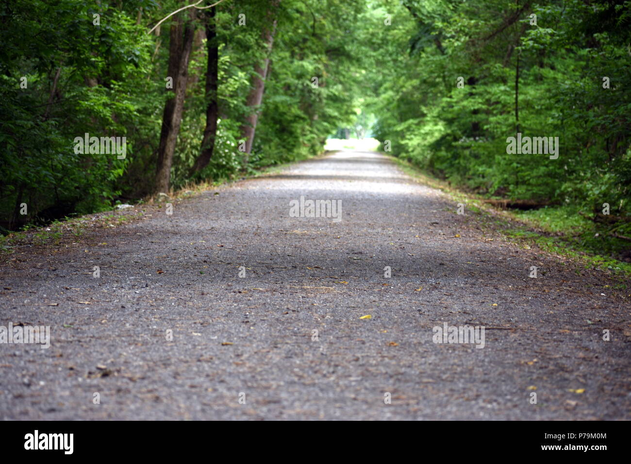 Gravel road woods hi-res stock photography and images - Alamy