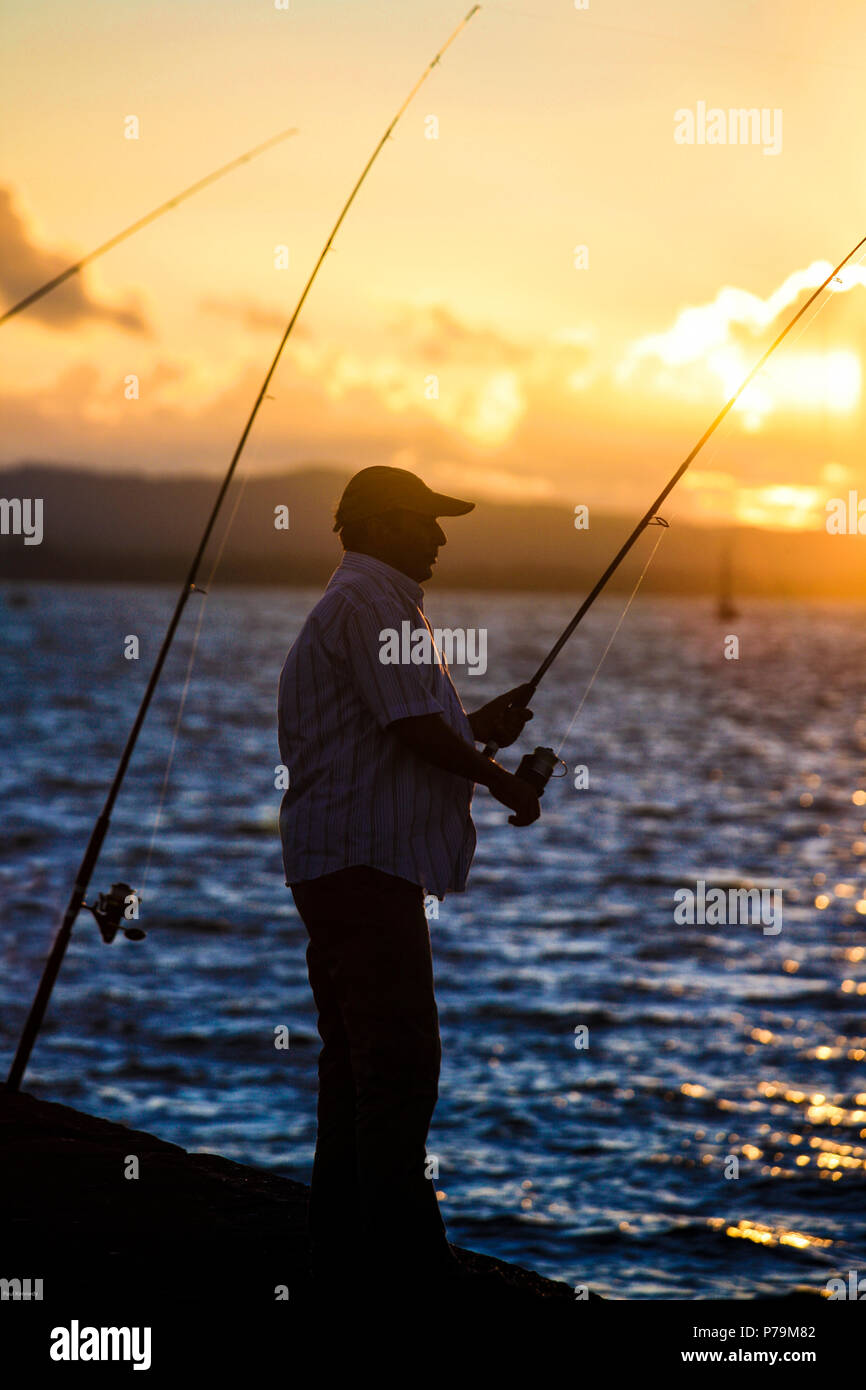 Fishing in auckland harbour hi-res stock photography and images - Alamy