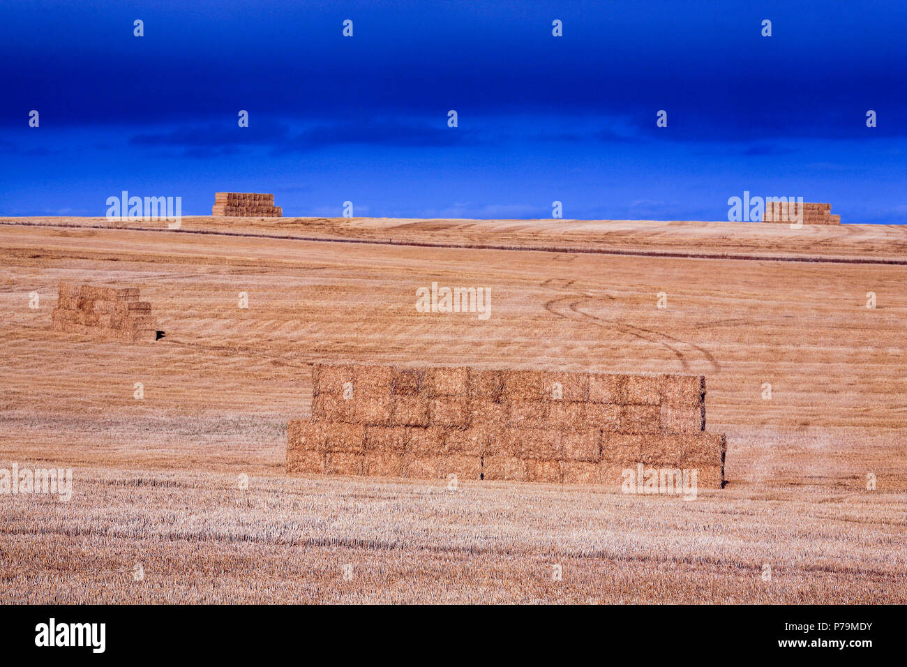 Haystacks in agriculture field Stock Photo - Alamy