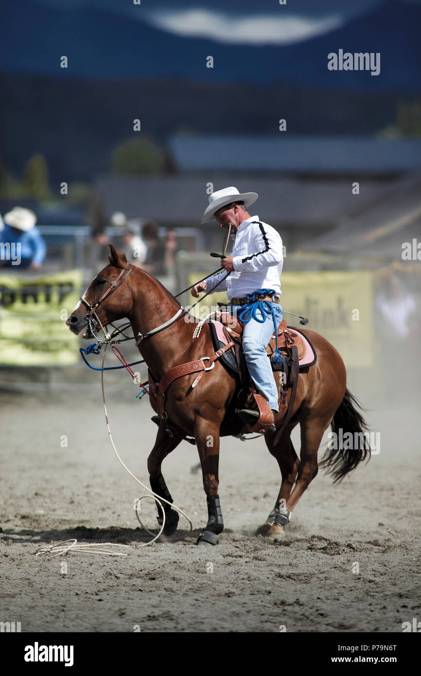 Man riding bucking bronco hi-res stock photography and images - Alamy