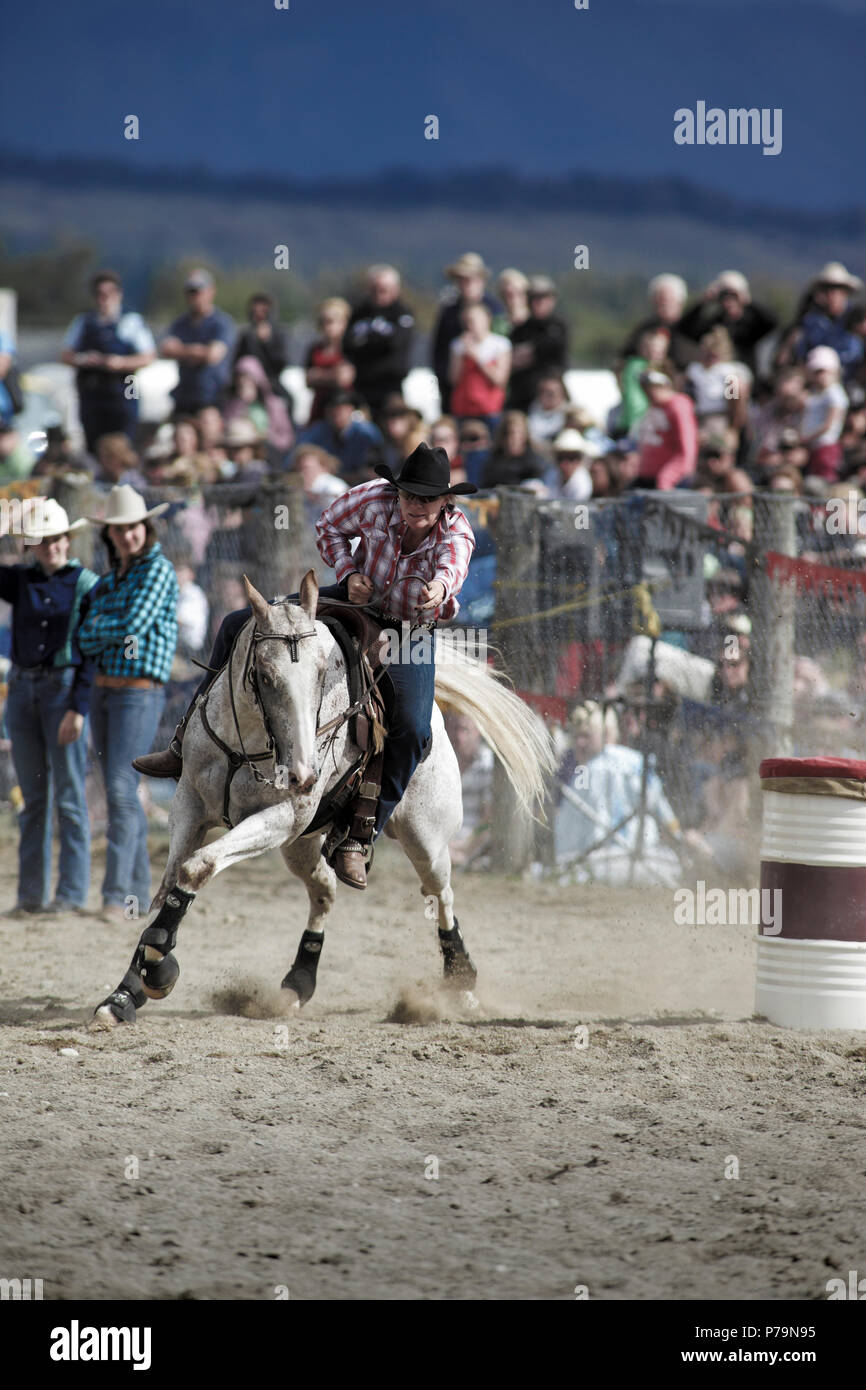 Women rides horse in barrel race at rodeo, Te Anau, New Zealand Stock ...