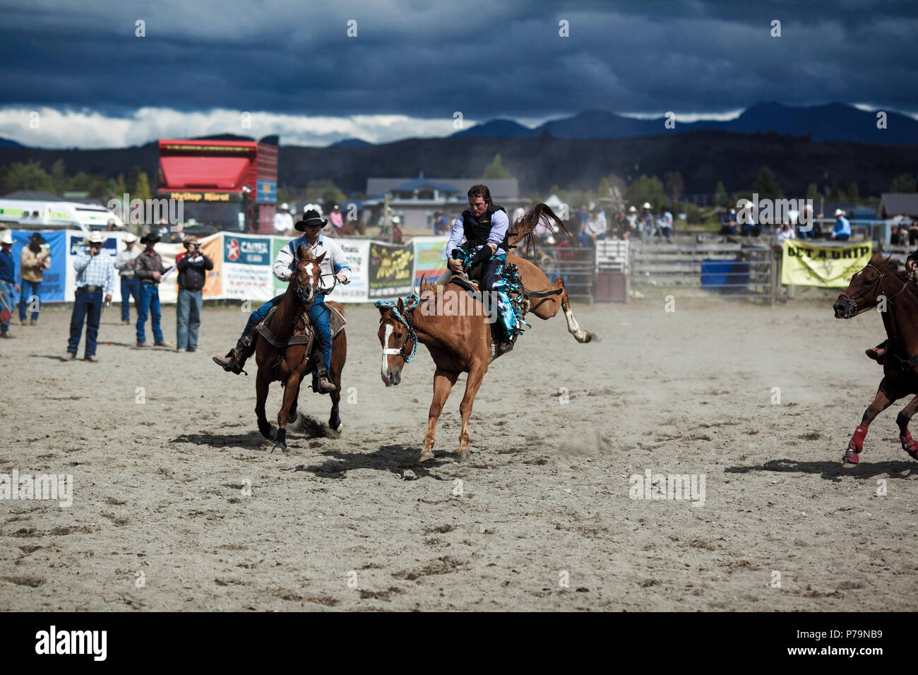 Man riding bucking bronco hi-res stock photography and images - Alamy