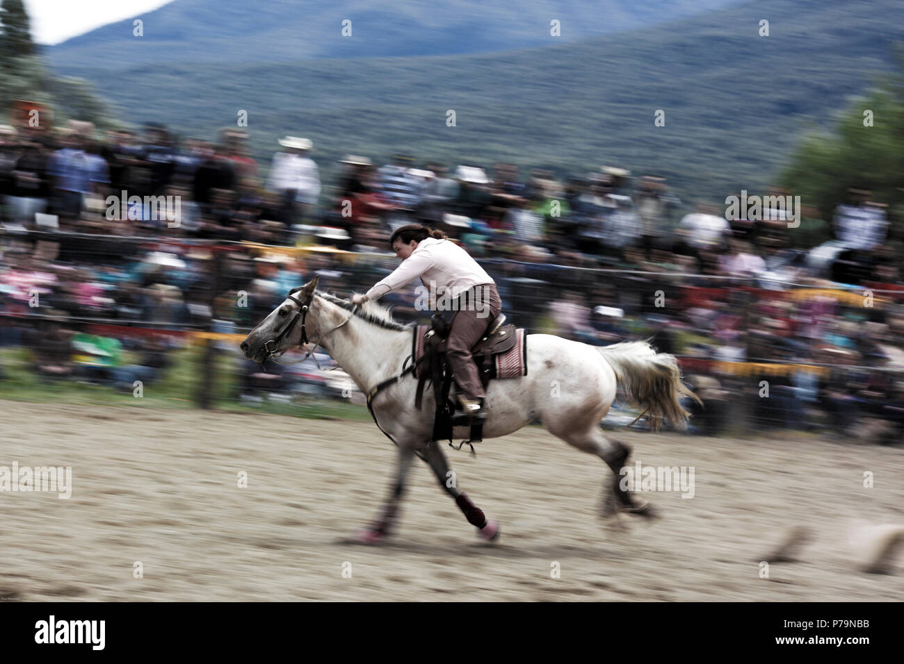 Women rides horse in barrel race at rodeo, Te Anau, New Zealand Stock ...